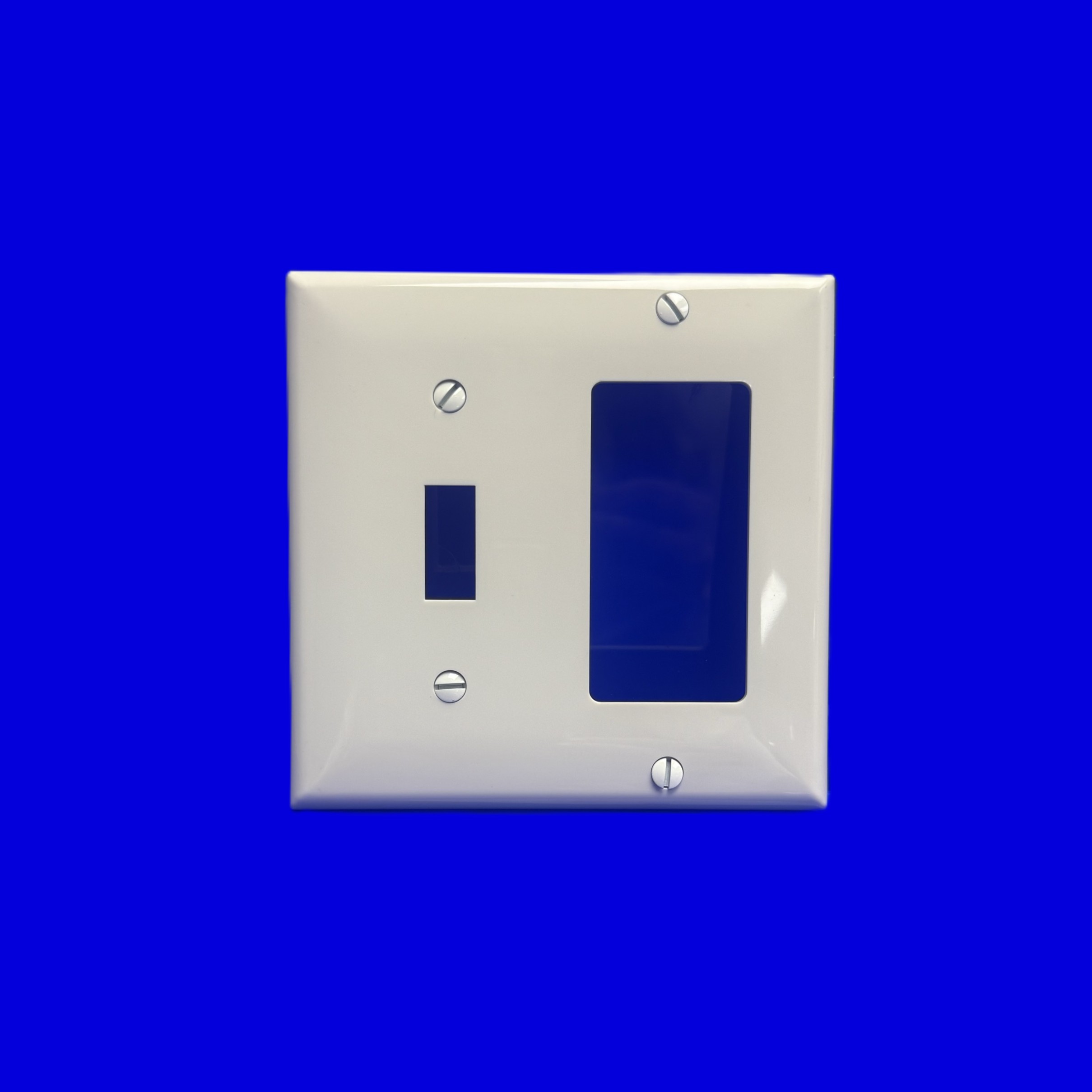Combination Plate Cover - WEB Engines