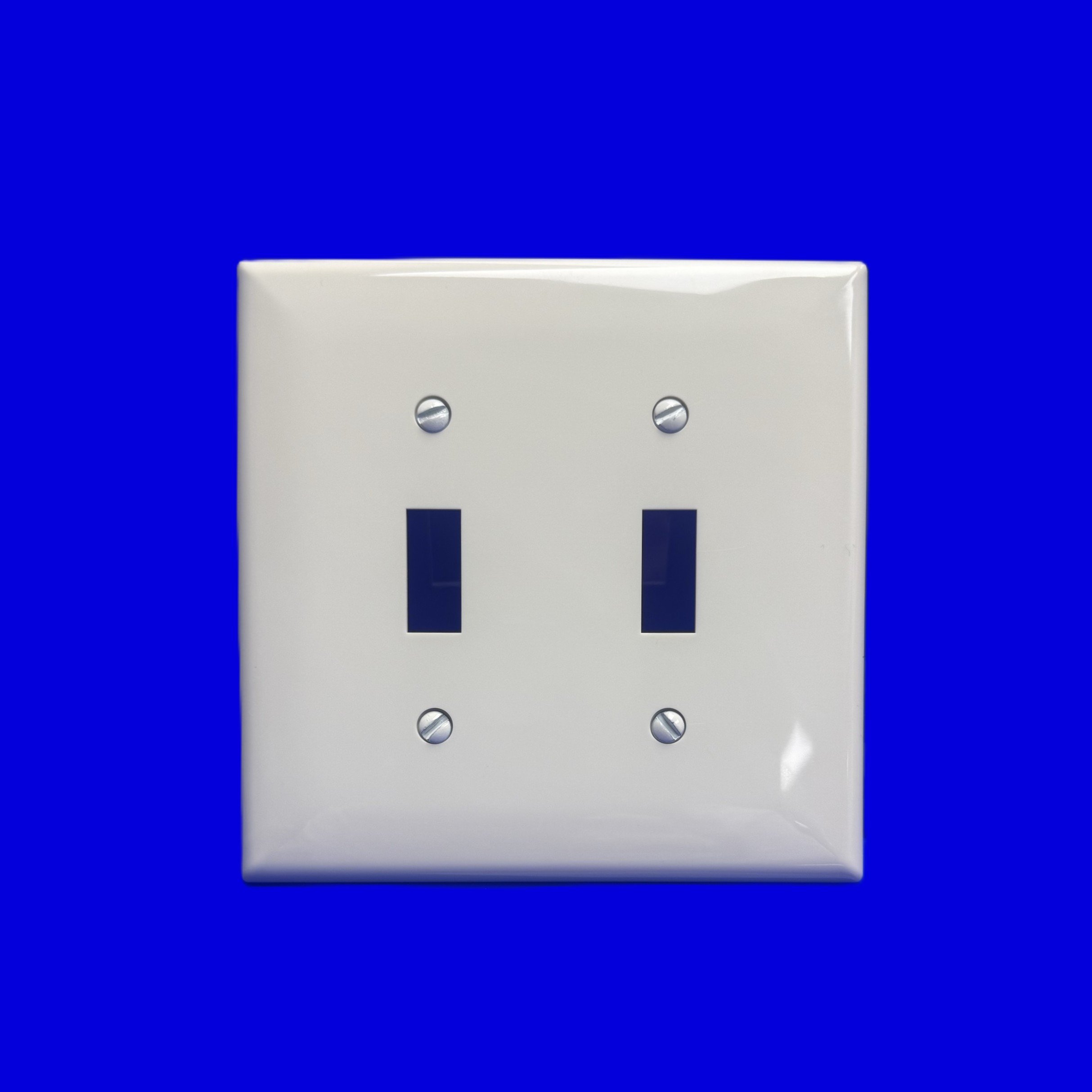 Double Toggle Switch Cover - WEB Engines